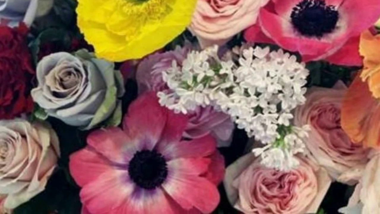 Flower 85 - YouTube