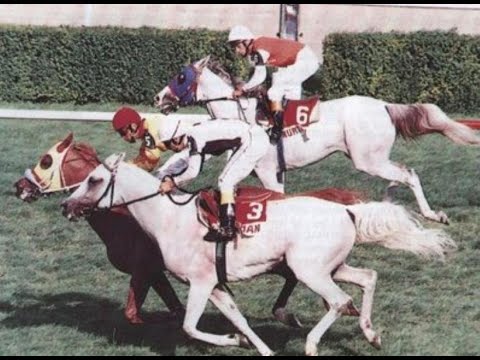 Efsane Foto Müthiş Final Şampiyondan Yarış Dersi