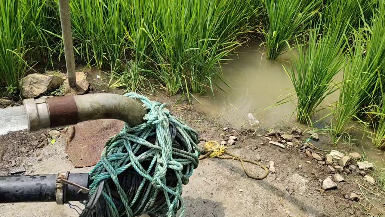 cri special delma model 10/10 model - YouTube