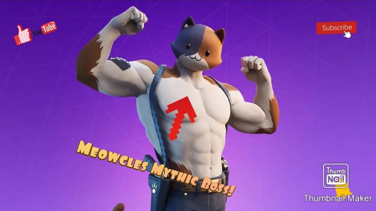 Eliminating Meowcles Fortnite Boss Solo - YouTube