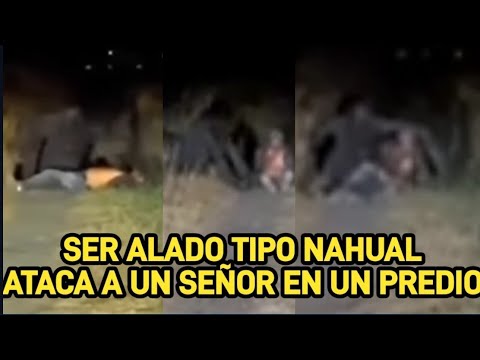 CAPTAN A UN NAHUAL O SER ALADO SOMETIENDO A UN SEÑOR EN EL CAMPO - YouTube