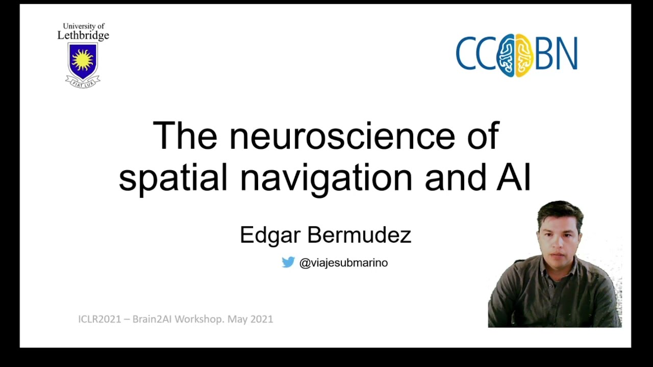 The Neuroscience of Spatial Navigation and the relationship to ...