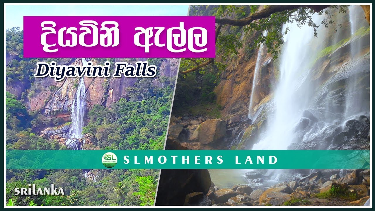 Diyavini Falls Sri Lanka | දීයවිනි ඇල්ල | Diyavini Ella Sri lanka ...