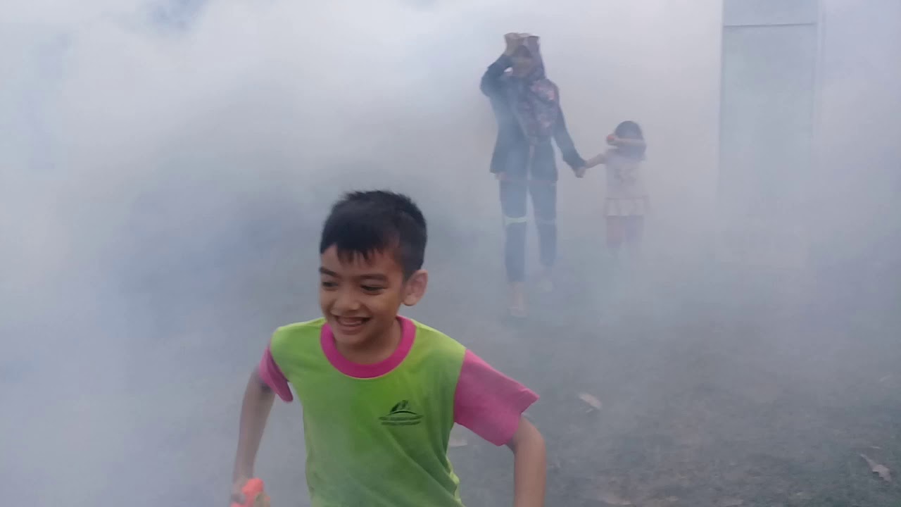 ALI LAYAN ASAP FOGGING NYAMUK? - YouTube