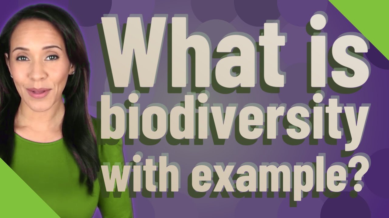 What is biodiversity with example? - YouTube