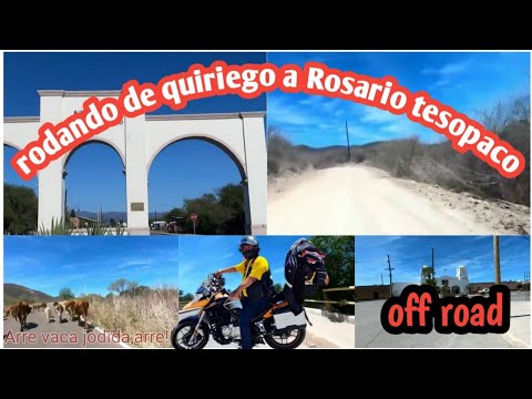 Rodando de Quiriego a Rosario de Tesopaco,sonora  #rodandoporsonora #viajesenmoto