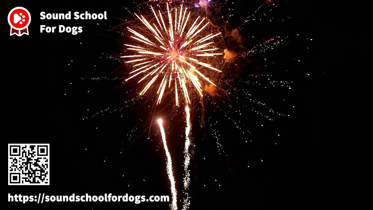 Fireworks #2 Desensitization for Dogs and Puppies - YouTube