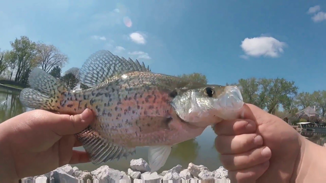 Fishing Trip To Lake Manawa! Catching Crappie, Striped Bass, and ...
