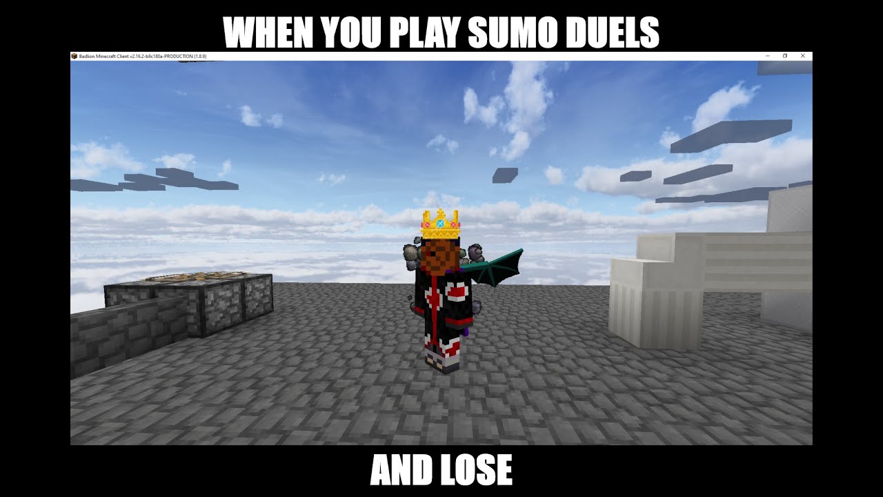 Minecraft (SUMO DUELS WITH FRIEND!) - YouTube