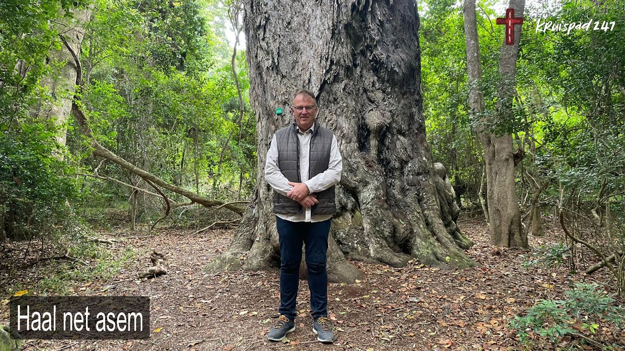 Haal net asem - YouTube