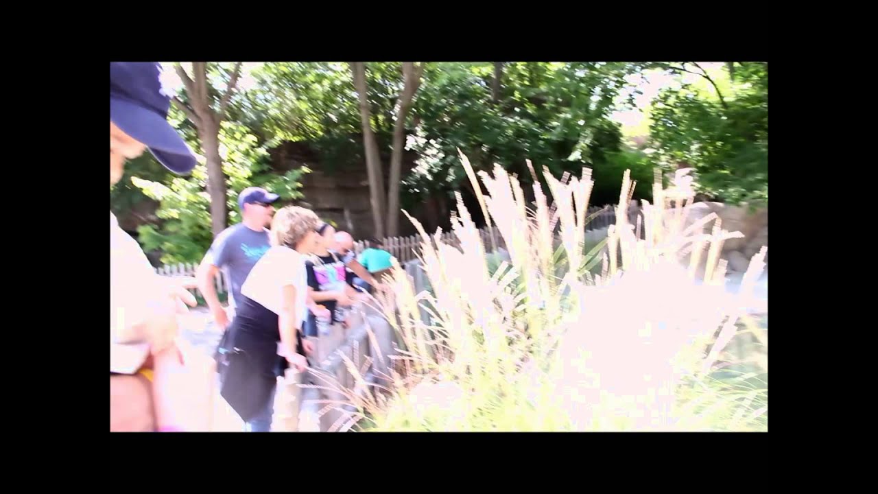 Peyton's First Trip To The Zoo! - YouTube