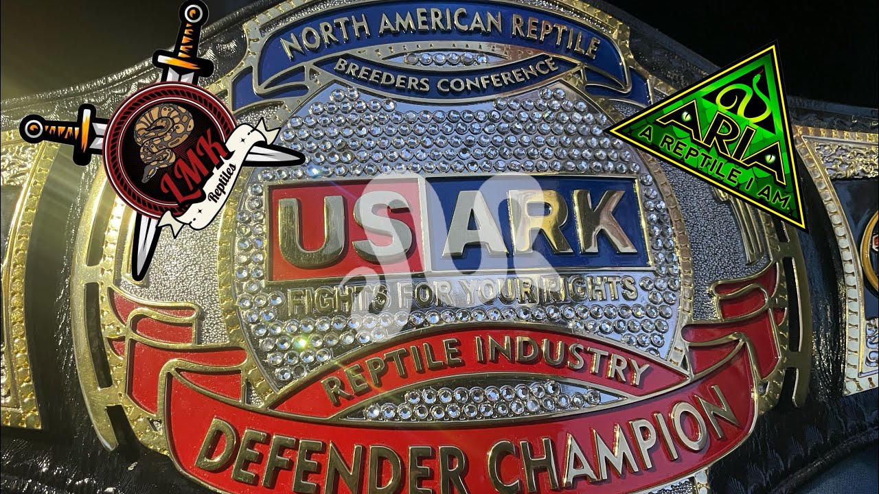 The Story Of The USARK Belt & What It Takes To Bring It Home! LMK ...