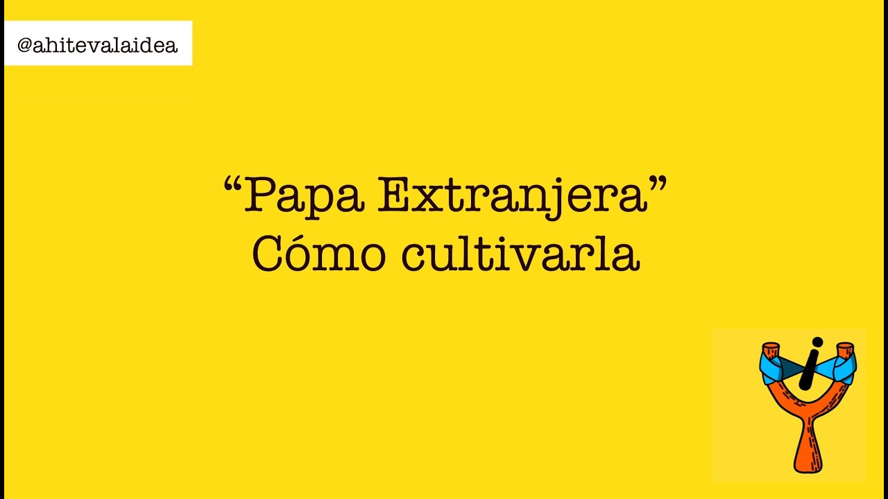 Cómo cultivar Papa Extranjera - YouTube