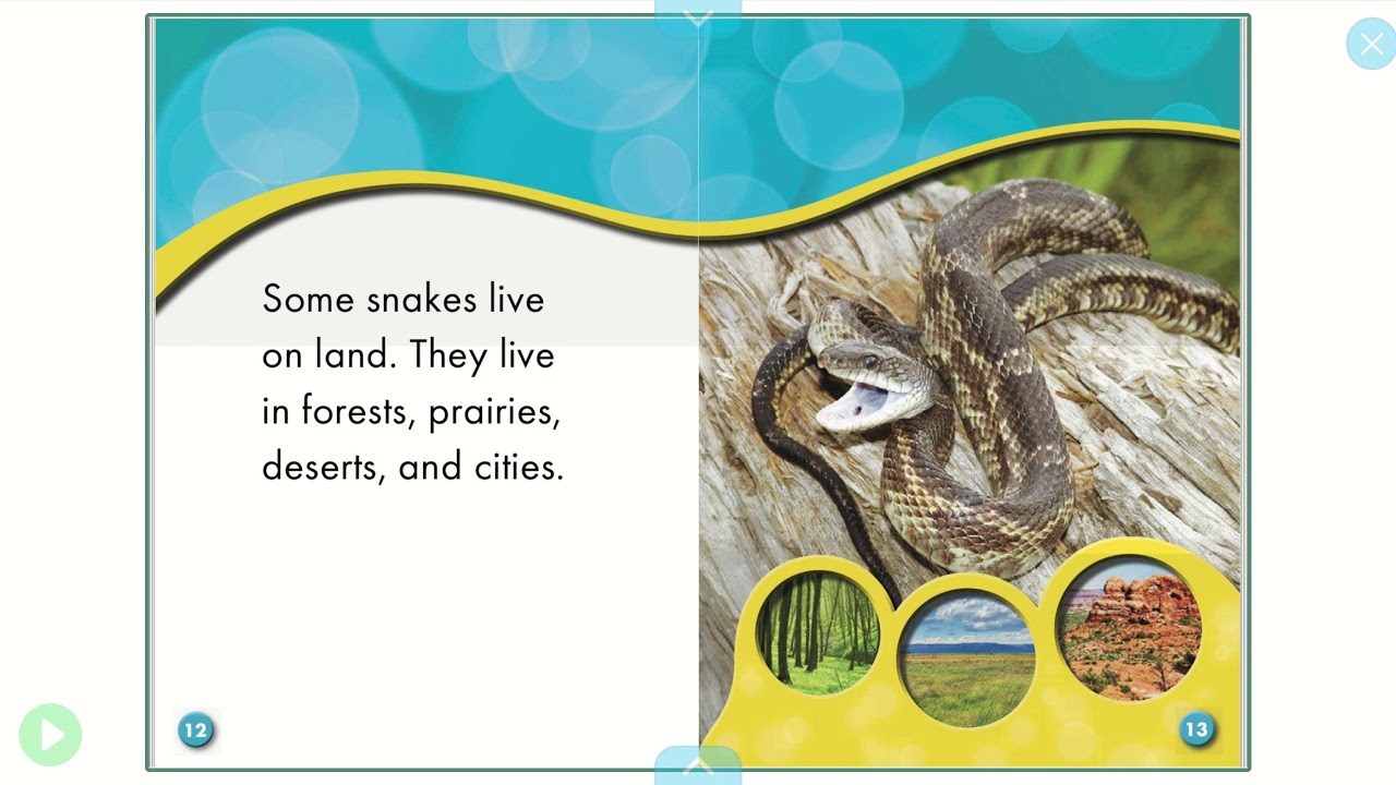 Snakes Read Aloud - YouTube