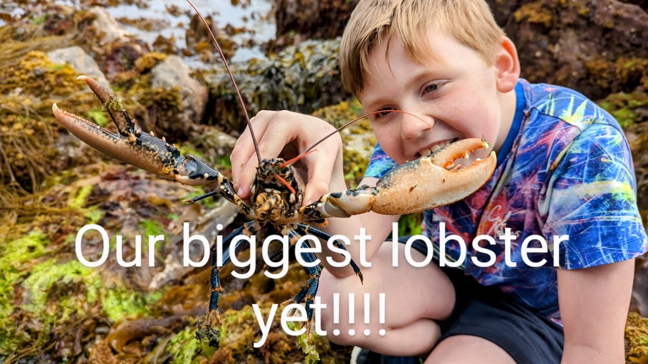 More amazing quickfire rockpool creatures @CoastalKidz100shorts ...