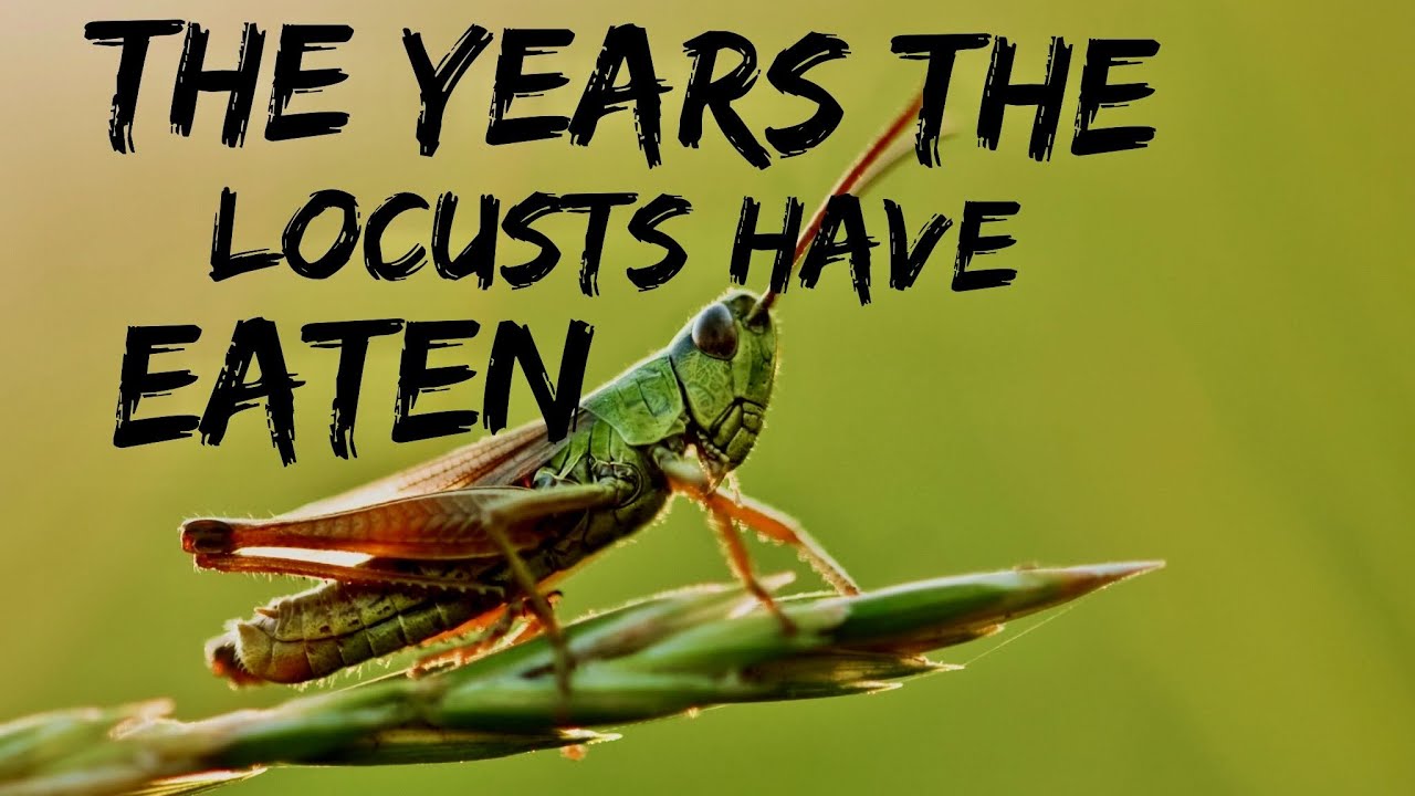 The Years the Locusts Have Eaten - YouTube