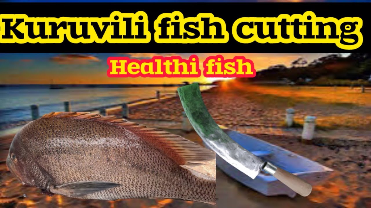 Kuruvili fish cut and eat #fishes - YouTube
