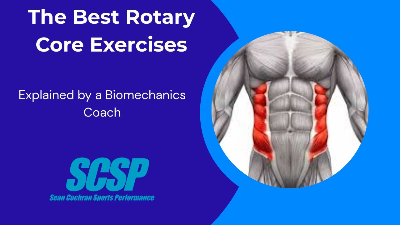 Best Core Rotary Exercise? (Core Stabilization Science Explained) - YouTube