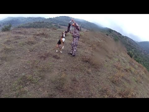 AĞAKÖYLÜ  KOPAY AVCILARI 2017-2018 TAVŞAN AVI