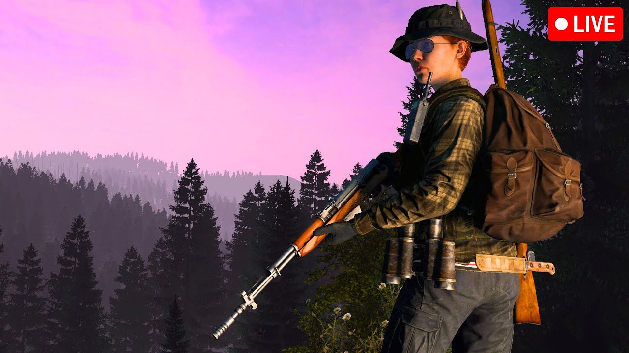 #LIVE | Jogando DayZ VANILLA - #hellletloose #dayz #dayzoficial #aovivo ...