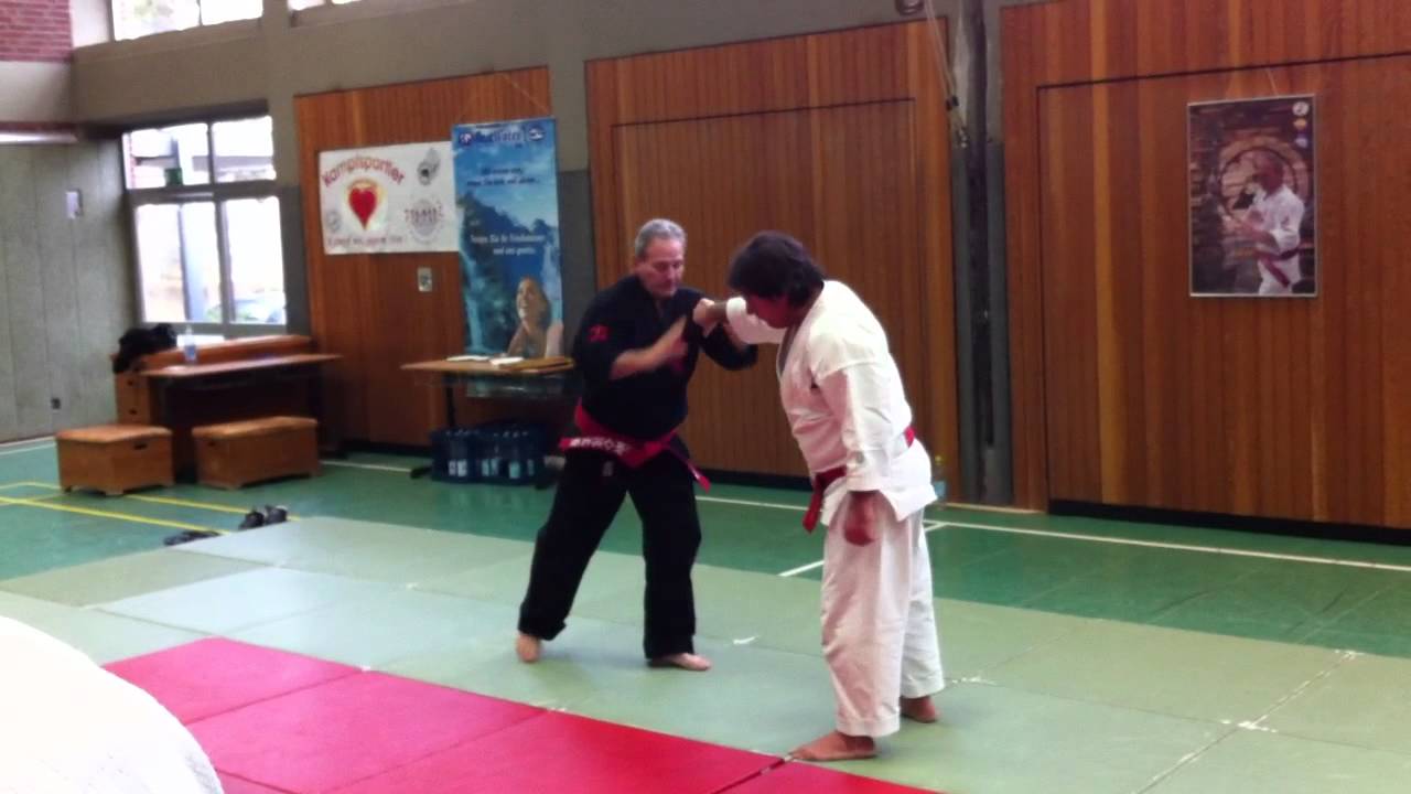 Soke Bryan Cheek, Bonn Jukoshin dojo, December 2013 - YouTube