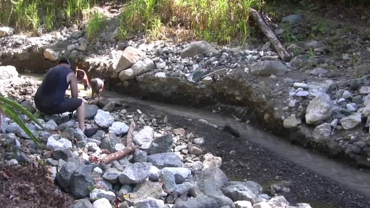 Costa Rica Trip: Gold Mining Carate River - YouTube