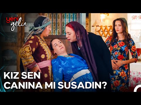 Kumaların Birbirleriyle Dövüşme Mesaisi Başladı - Yeni Gelin