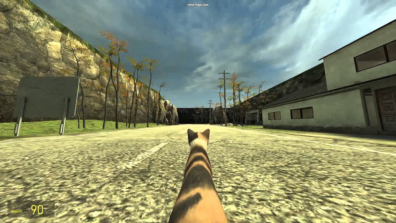 Gmod Cat visits Fearless RP (made on singleplayer) - YouTube