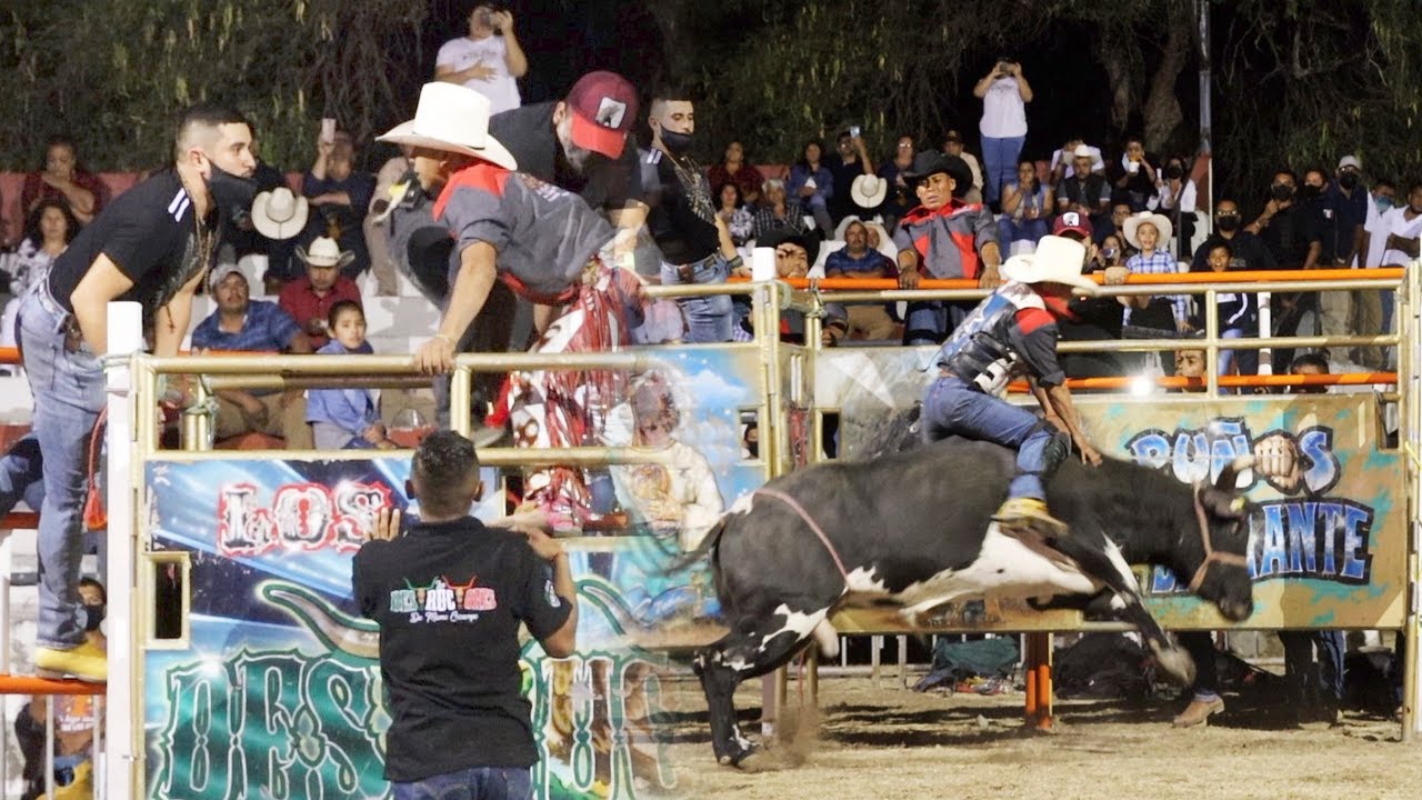 CON POLÉMICA Y TODO, ASÍ FUE LA ÚNICA QUEDA DE LA NOCHE AL "AGENTE 777 ...