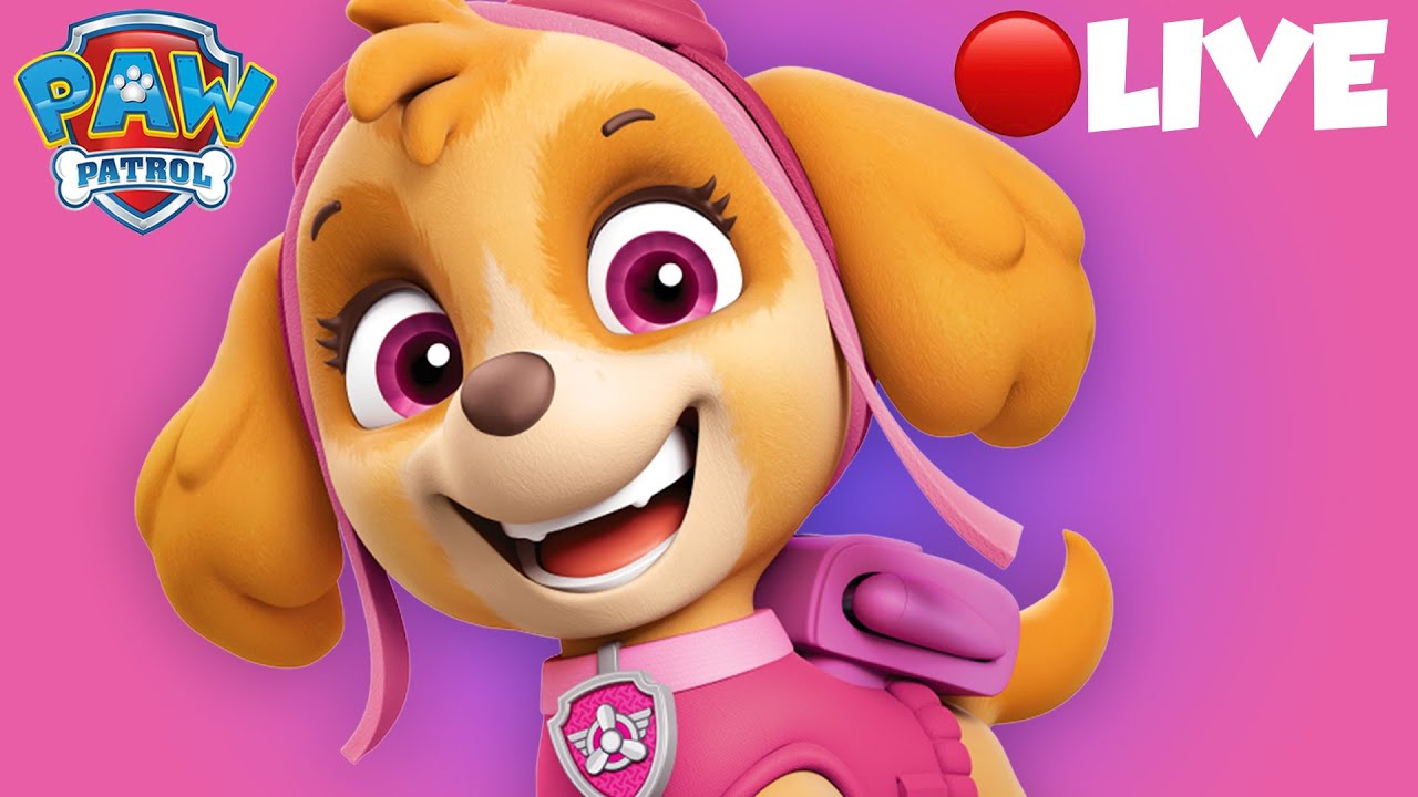 🔴 PAW Patrol Skye Special! Live Stream - Cartoons for Kids - YouTube