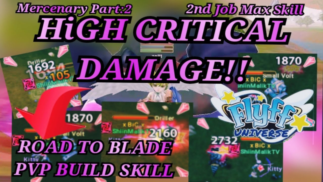 Flyff universe | Mercenary Skill and Build Part.2 | Almost Max - YouTube