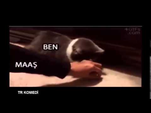 maaş, ben ve kredi kartı