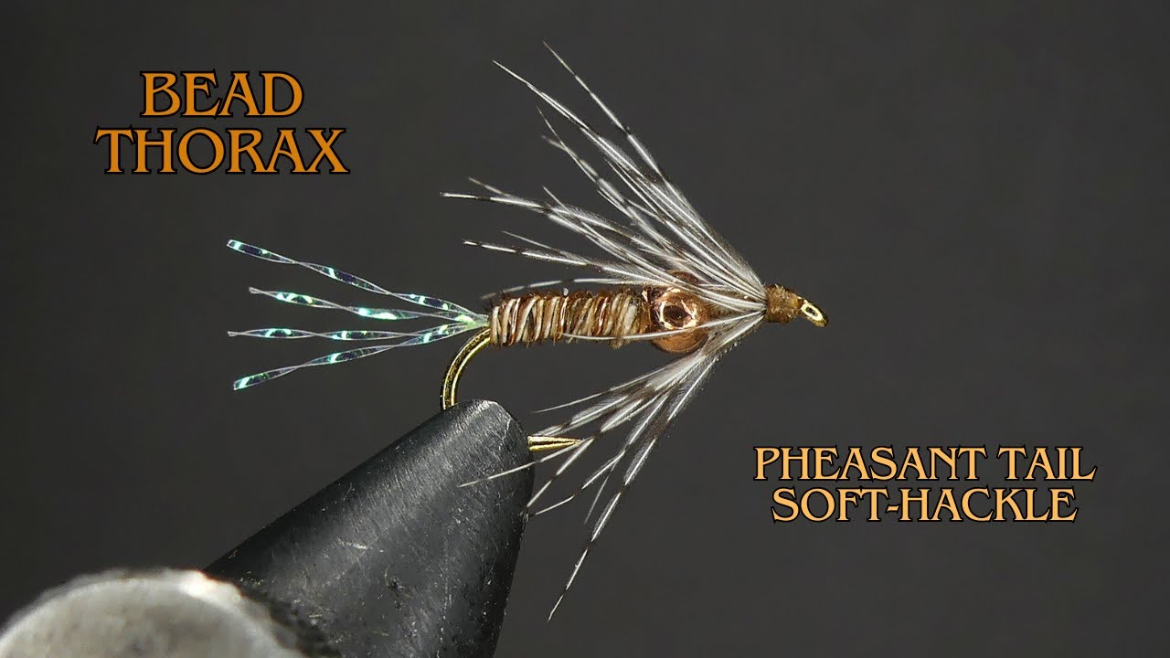 Bead Thorax Pheasant Tail Soft-Hackle - YouTube