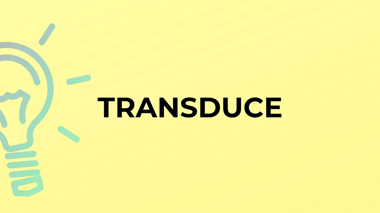 What is the meaning of the word TRANSDUCE? - YouTube