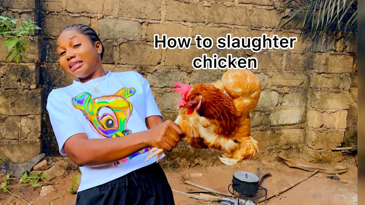 HOW TO SLAUGHTER AND BUTCHER A CHICKEN 🐓 ||+ HOW TO MAKE CHICKEN PEPPER ...