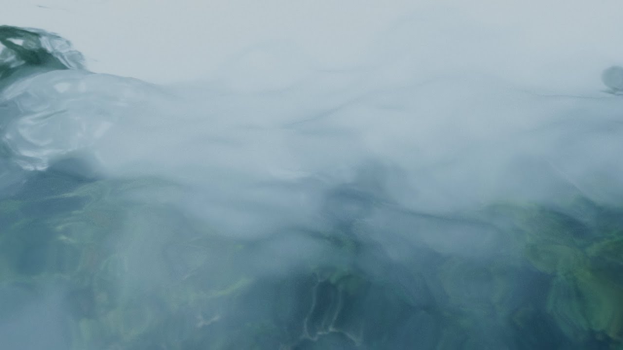 MIST 霧の中の不思議な森 - YouTube