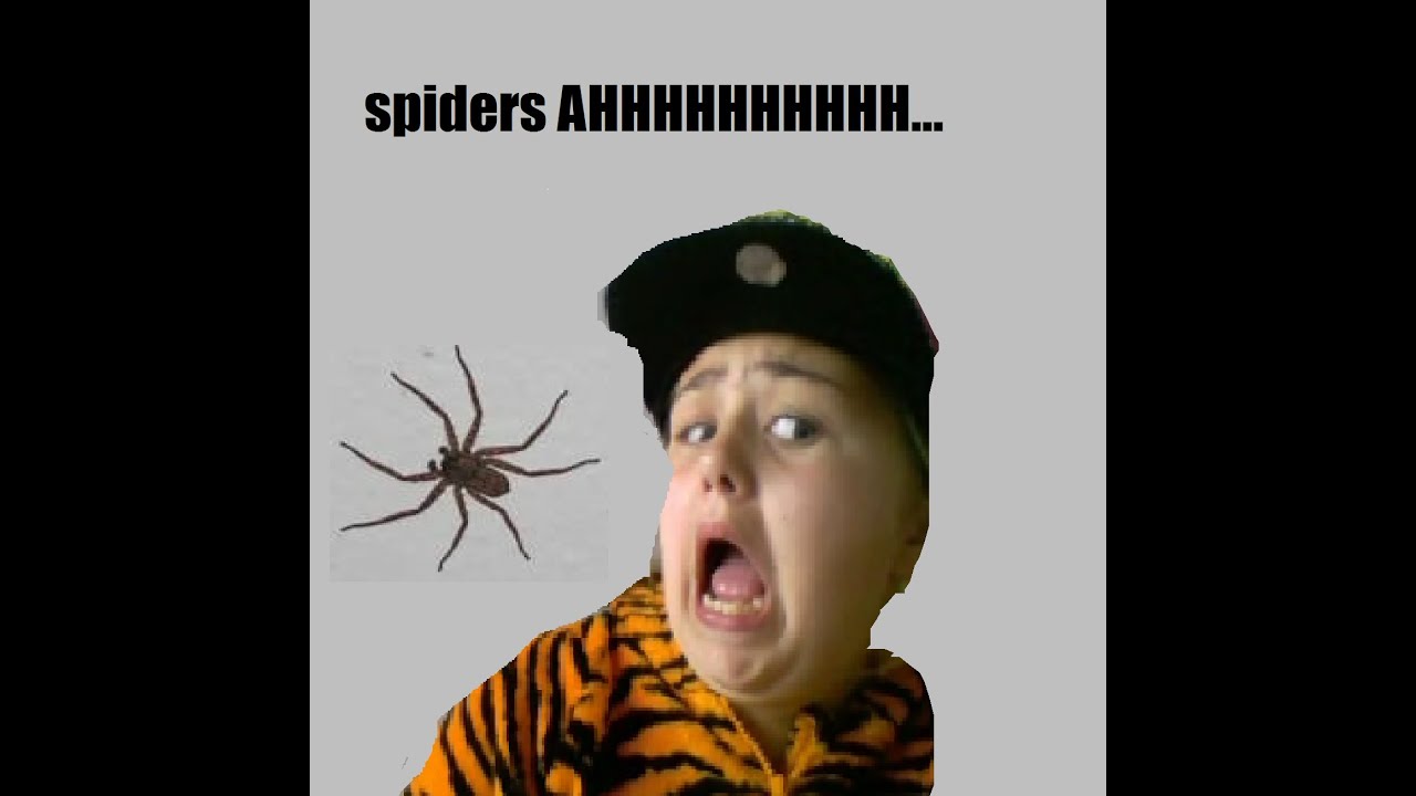 AHHH...SPIDERS - MAMA SPIDER - YouTube