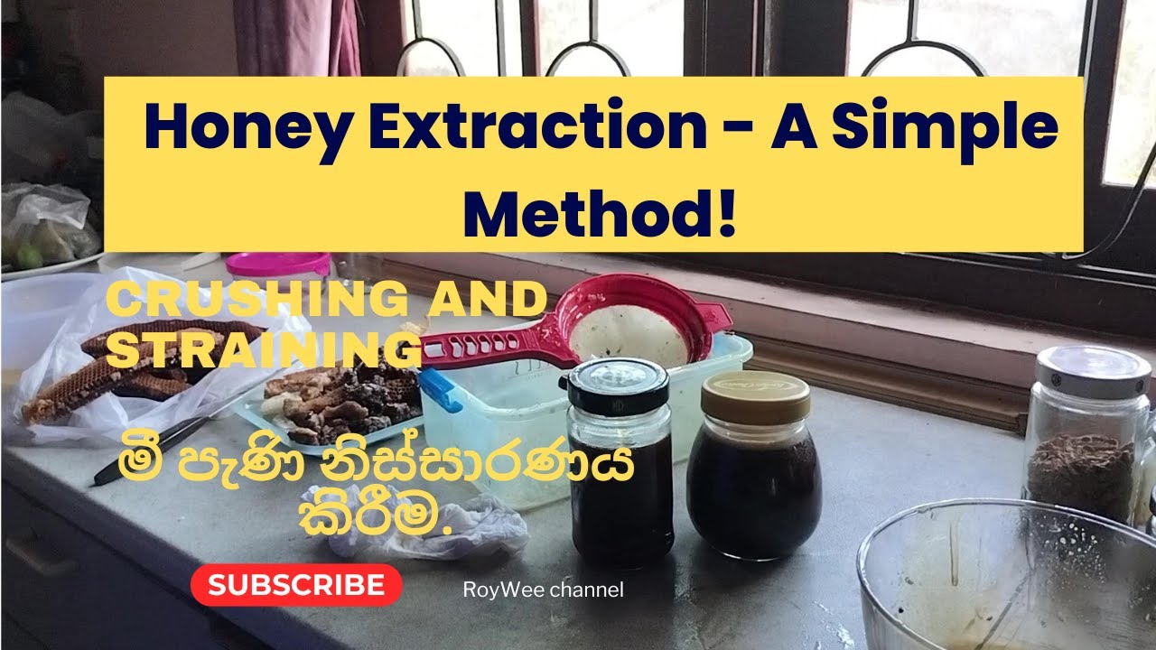 Crushing And Straining Honey Extraction - A Simple Method! (මී පැණි ...