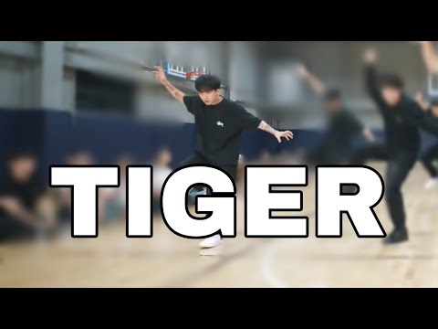 ARTBEAT (아트비트) 호시 HOSHI - Tiger | 영진 YoungJin Focus - YouTube