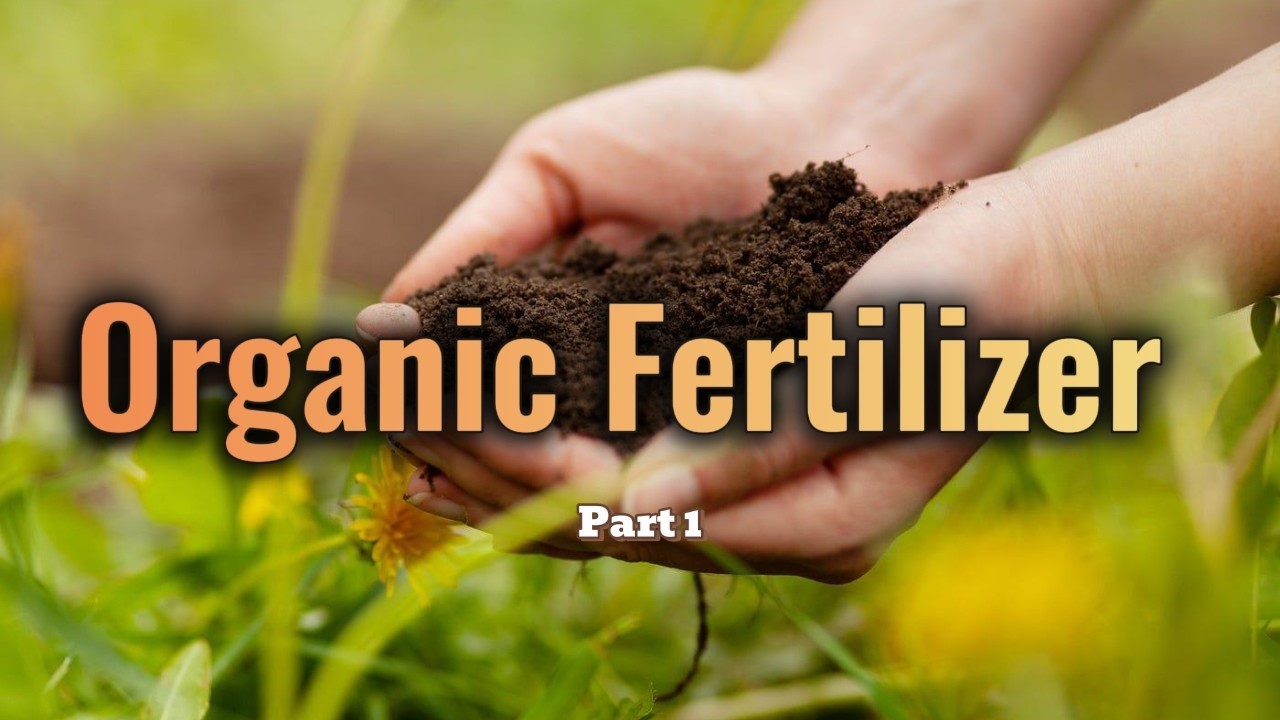 The Use of Organic Fertilizer | Part 1 - YouTube
