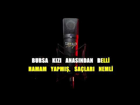 Toygan Avanoğlu - Bursa Kızı / Karaoke / Md Altyapı / Cover / Lyrics / HQ