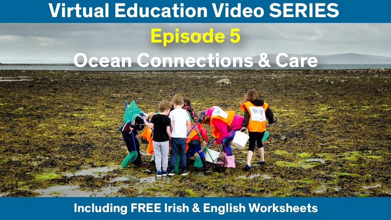 🐟Episode 5 Ocean Connections & Care. - YouTube