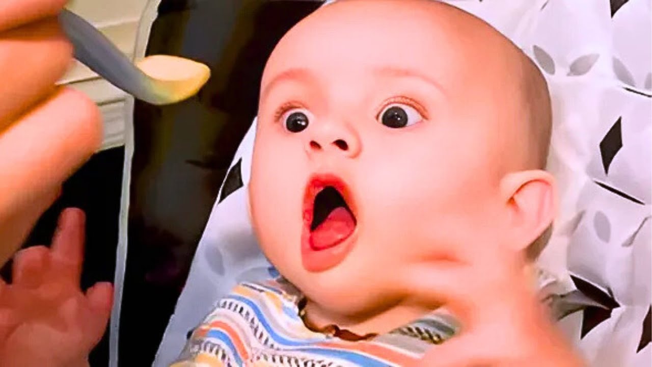 TOP OF THE WEEK - Ultimate Funny Baby Reactions Compilation - YouTube