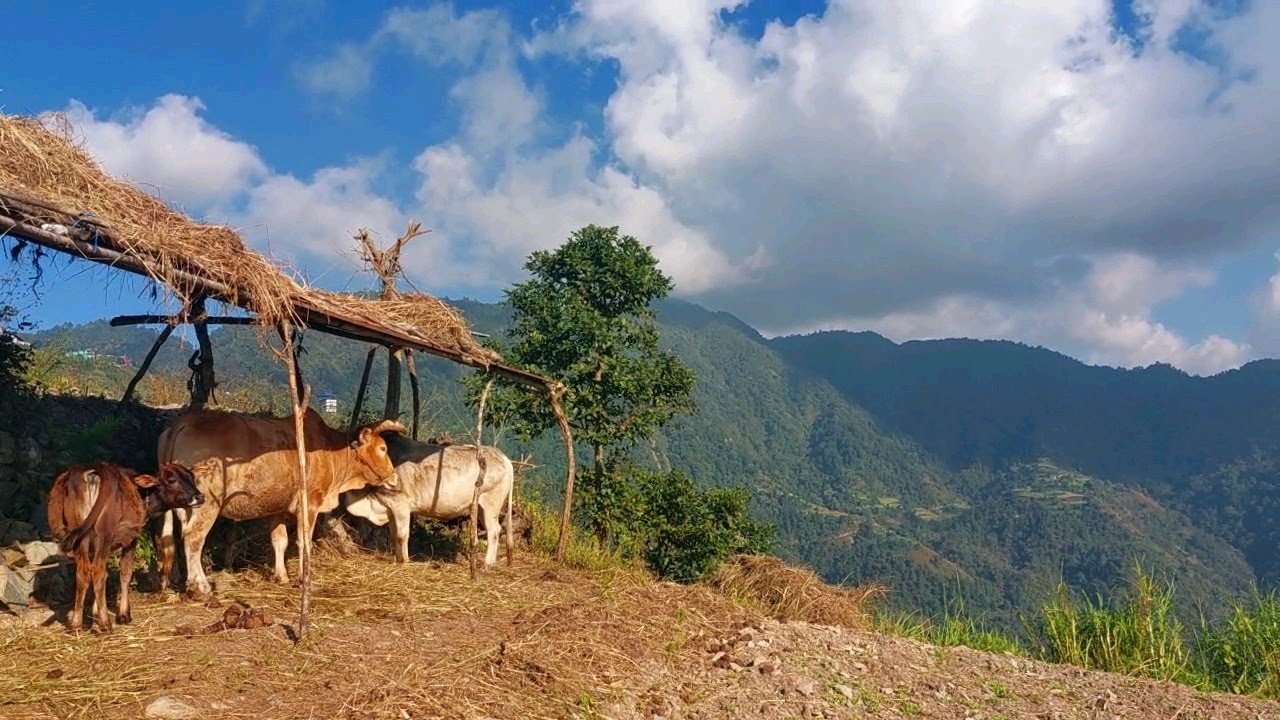 Irresistibly Beautiful Nature- Mountains Remote area scene and ...