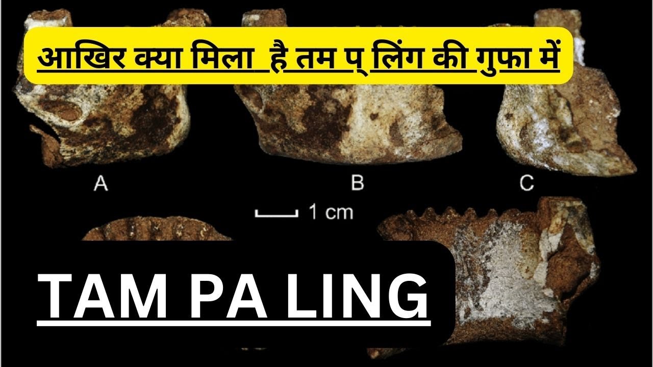 TAM PA LING | UPSC CSE | #upsc #iasexam #upsccurrentaffairs #ias # ...