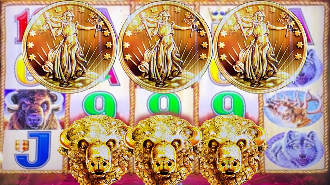 WINNING Buffalo Session 🦬 What More Could I Ask For? - YouTube