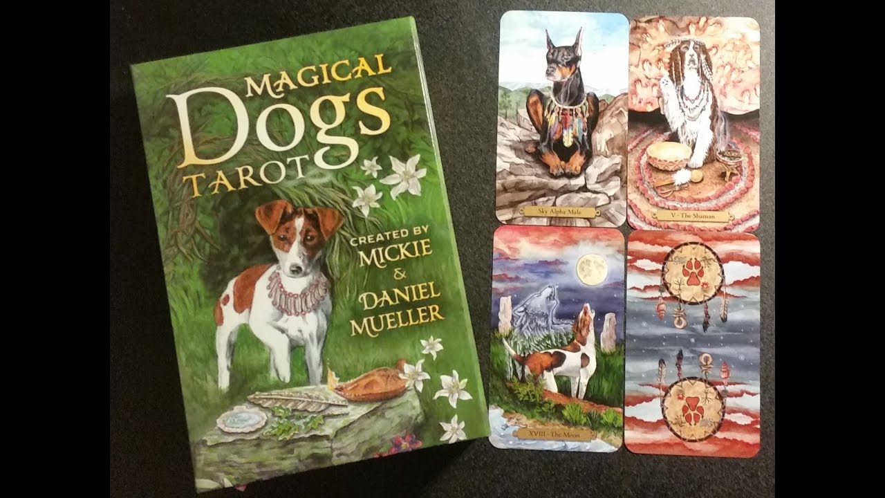 Take #2 of The Magical Dogs Tarot Preview - YouTube