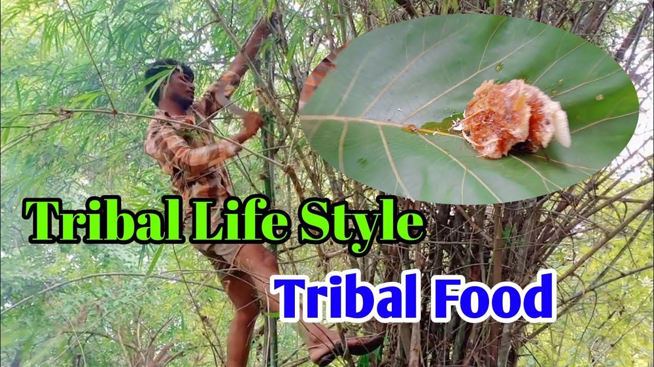 Tribal Life style//Tribal Food/Tribal Life style//Surendra Allagadda ...
