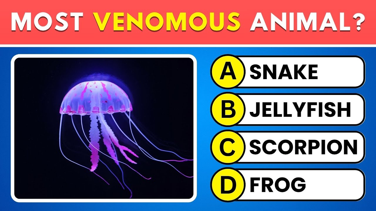 Can You Pass This Animal Quiz? 🐘 50 Questions to Test Your Wildlife ...