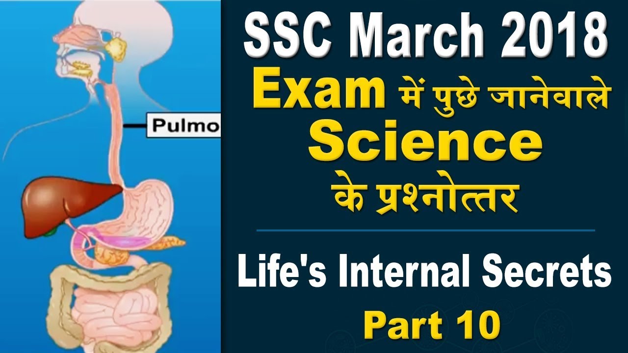Life's Internal Secrets - YouTube